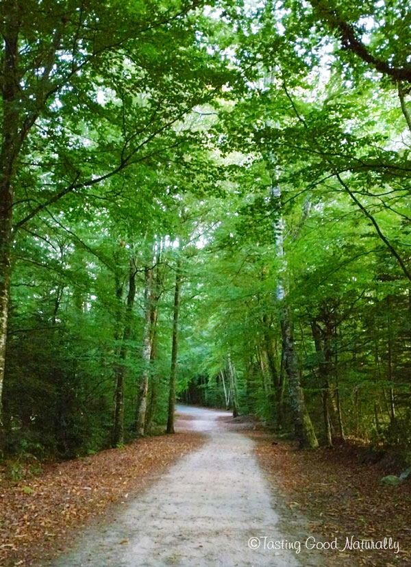 Bonne année et intentions pour 2018 ! Tasting Good Naturally