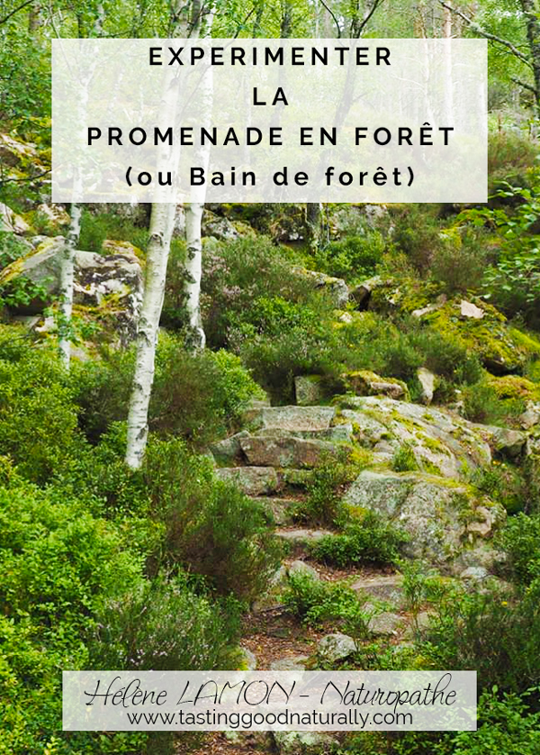 Expérimenter la promenade en forêt - Hélène TURNER - Naturopathe
